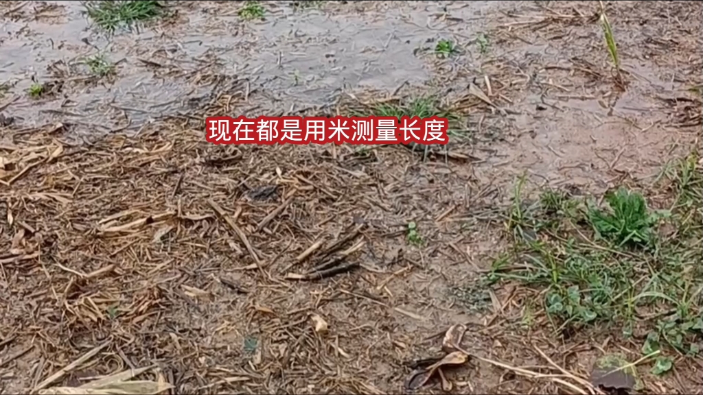 土地亩数怎样计算出来的,记住这两个公式