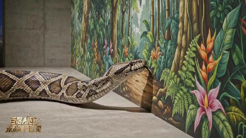 蟒蛇疯狂撞击3D森林背景墙!它死活进不去的画面让人笑疯了