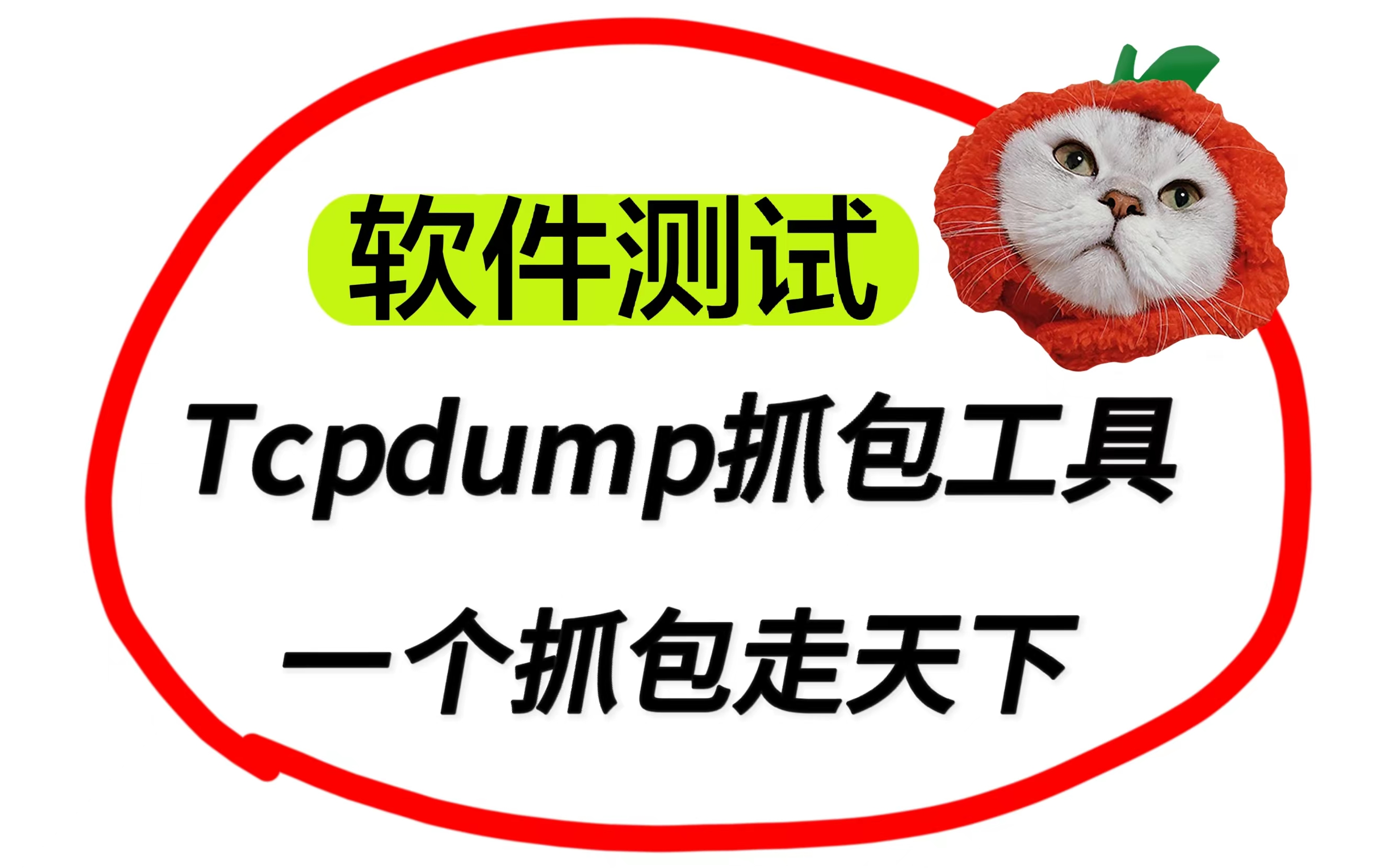 【软件测试】Tcpdump抓包工具详细教程,白嫖就是香!