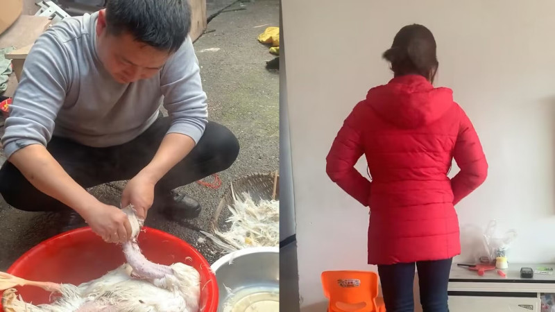 男子亲手为妻子制作羽绒服,从养鹅到缝制耗时185天,成品太惊艳