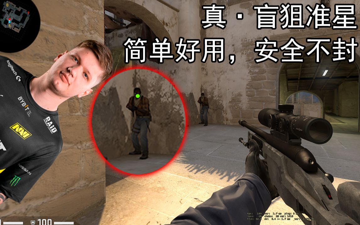 【CSGO】2022年最强鸟狙准星!鸟狙盲打不是梦!森破用了都说好