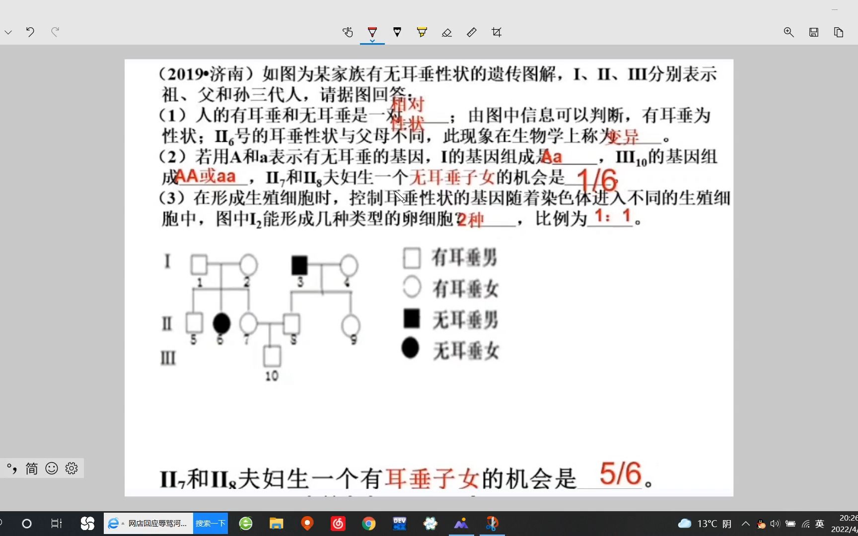 初二生物遗传变异讲题