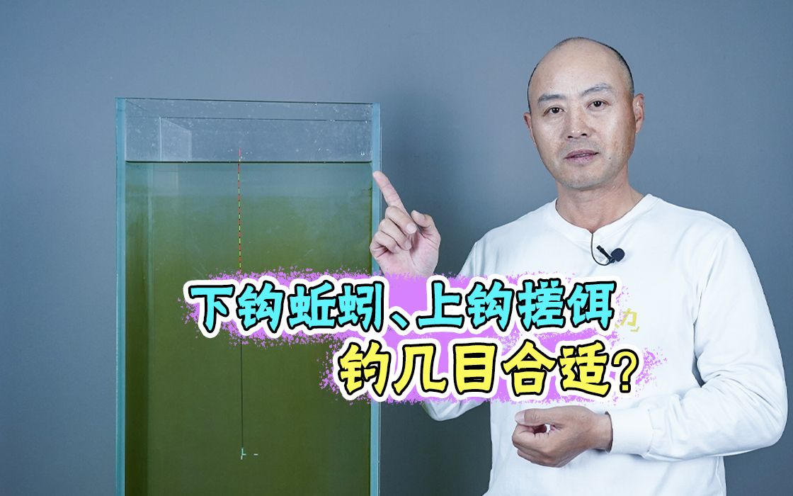 下钩蚯蚓、上钩搓饵,钓几目合适?