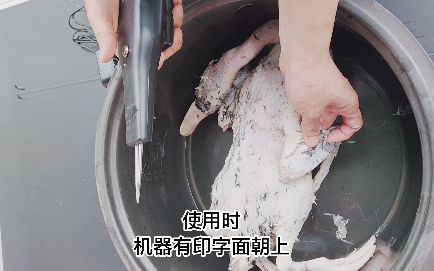 妙太太家禽鸡鸭鹅毛拔毛机脱毛机拔毛神器使用操作教学视频