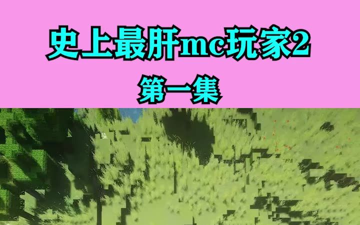 先挖再说 这不是超平坦嘛_哔哩哔哩bilibili_我的世界