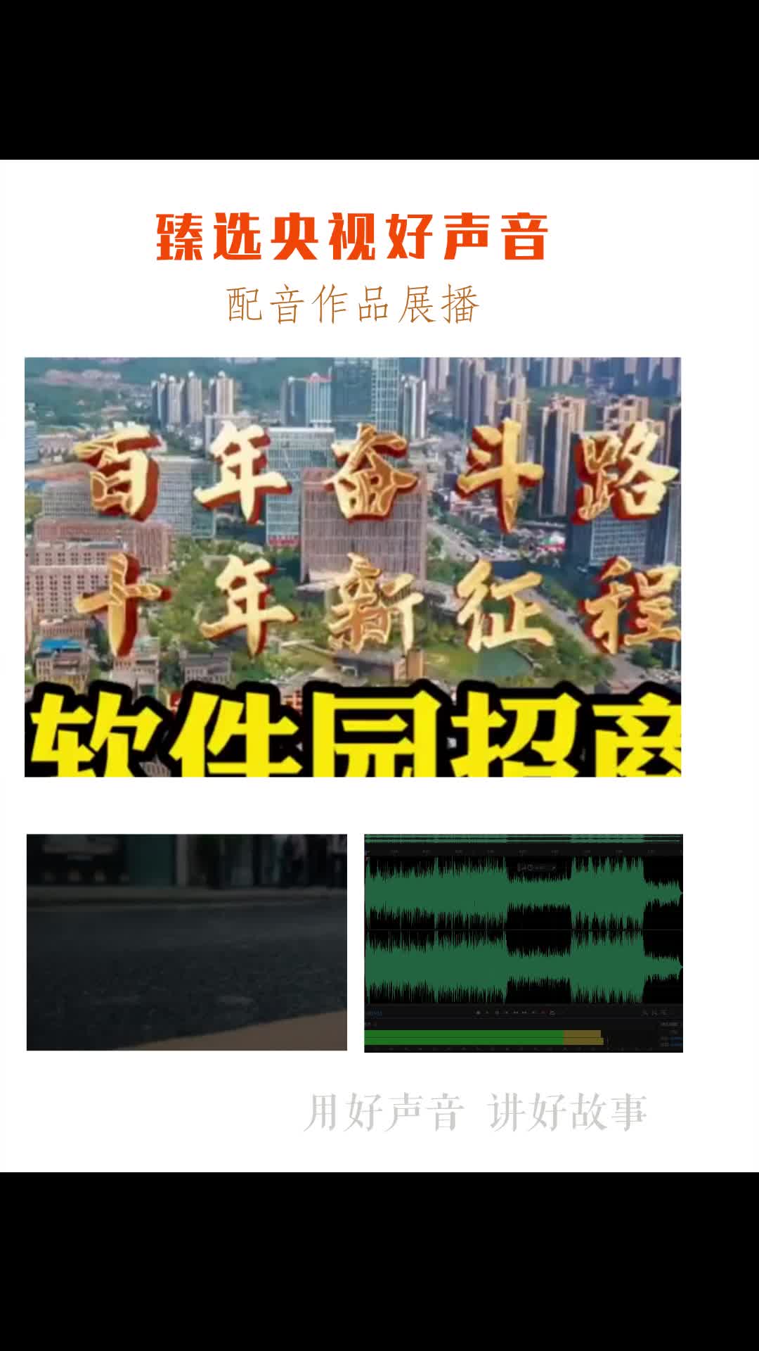 软件园招商宣传片配音