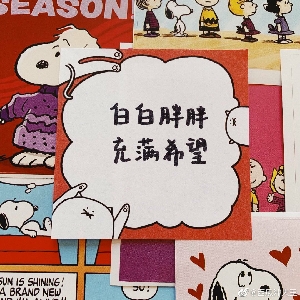Allen嘉人BIU 