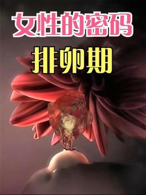 女性的密码:揭秘女性排卵期的身体信号,准确判断排卵日期期计算