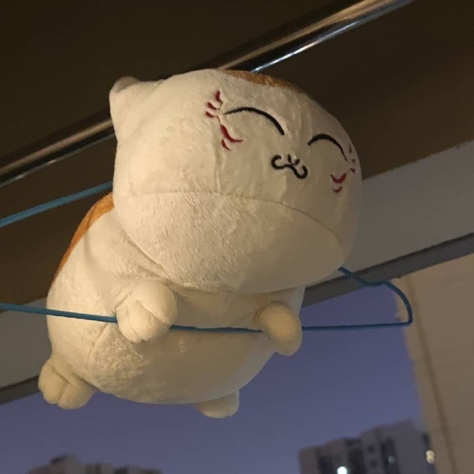 无名打字猿 