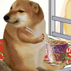 竹叶裙浩 