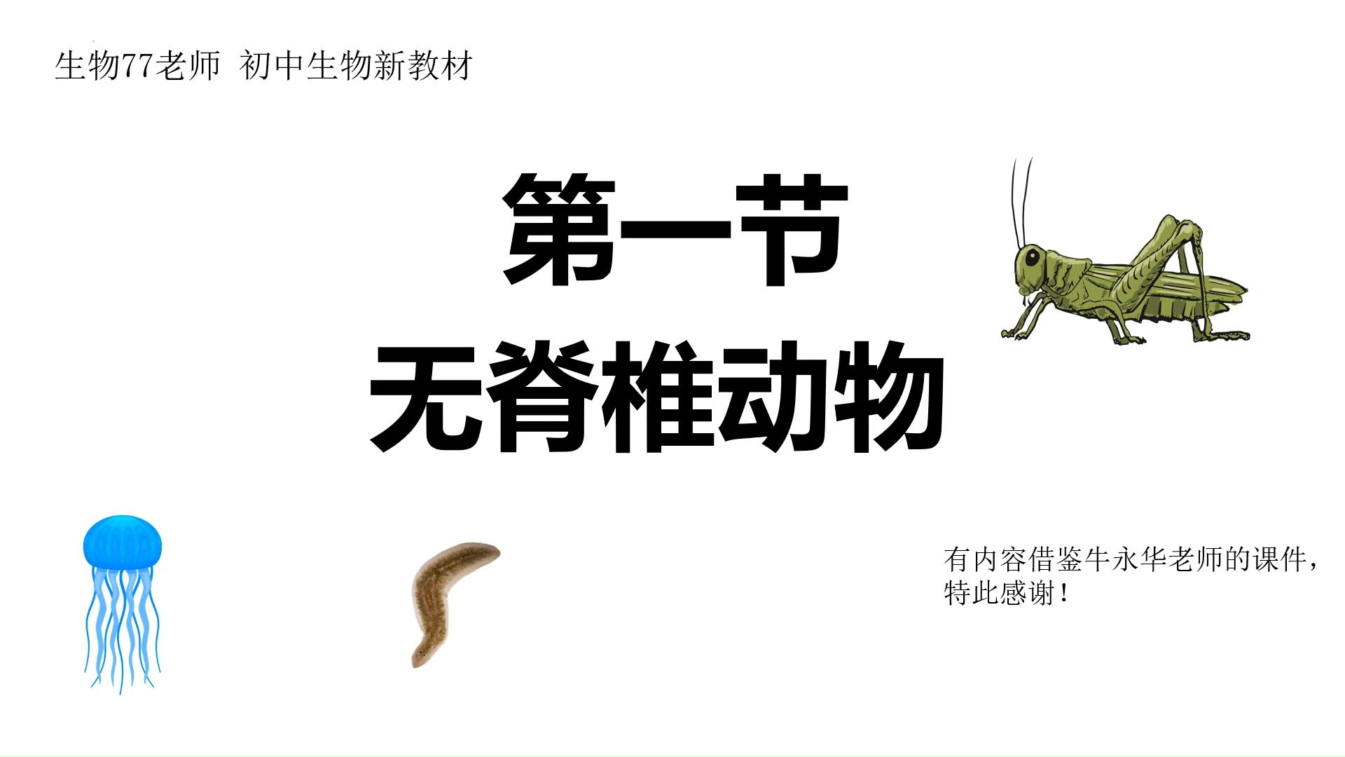 初中生物新教材七年级上册第一节《无脊椎动物》