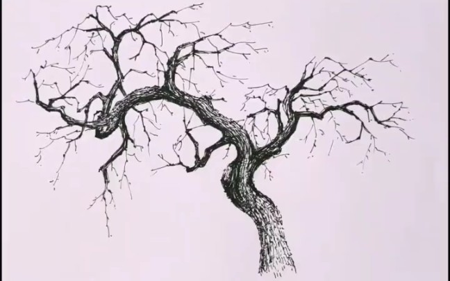 钢笔画风景速写元素教学(树干树枝的画法)
