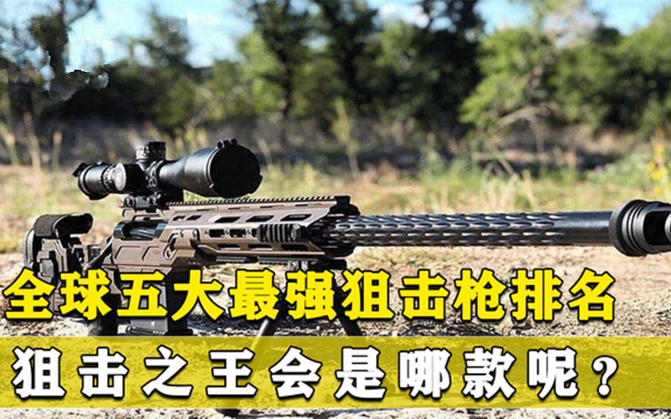 全球五大狙击枪排名,3200米开外一枪毙命,狙王巴雷特能否一战?