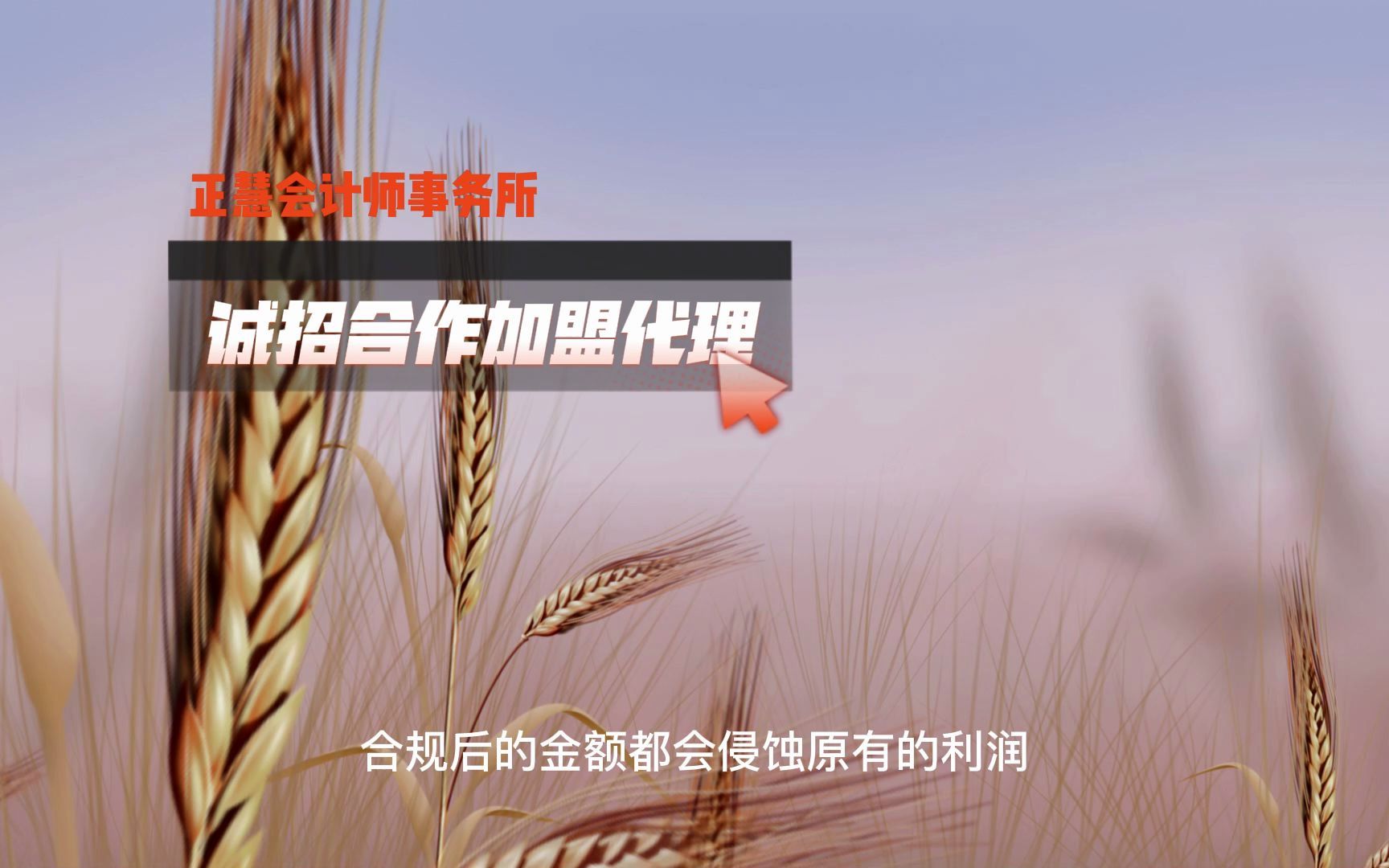 会计财务公司收购,收购一家公司的时候财务审计上需要注意什么问题?