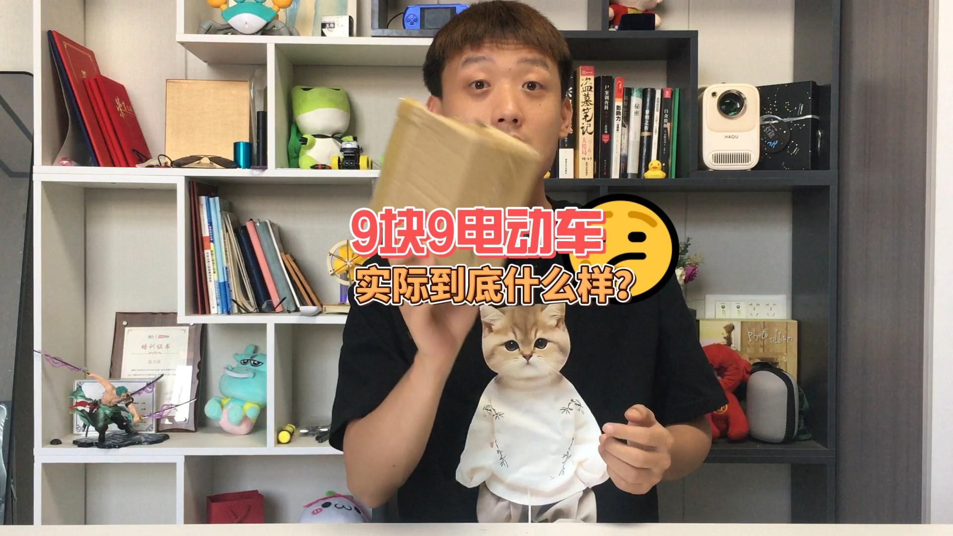 9块9就能买到电动三轮车