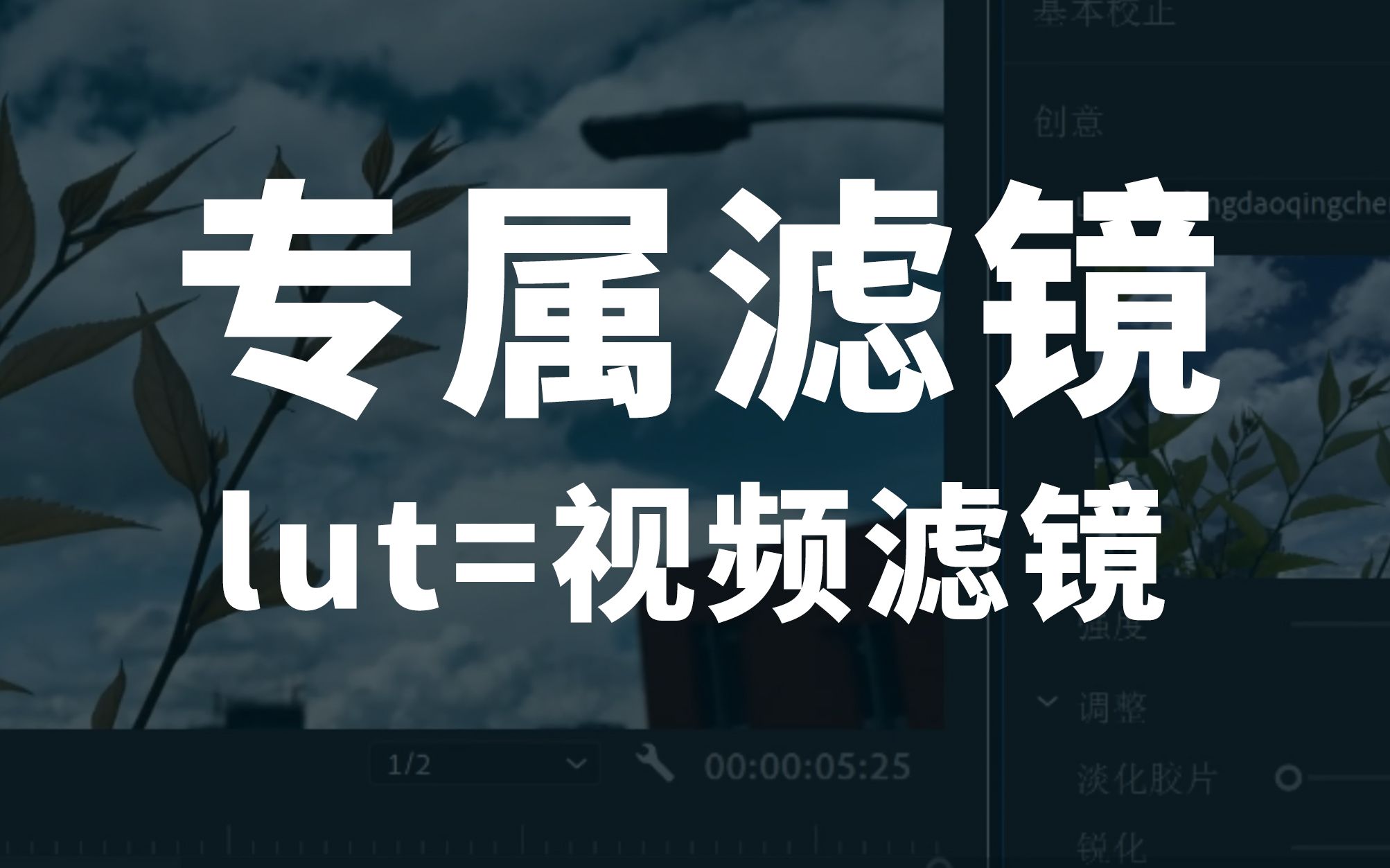 【教程】我来演示一下怎么用pr和ps制作专属视频滤镜lut。