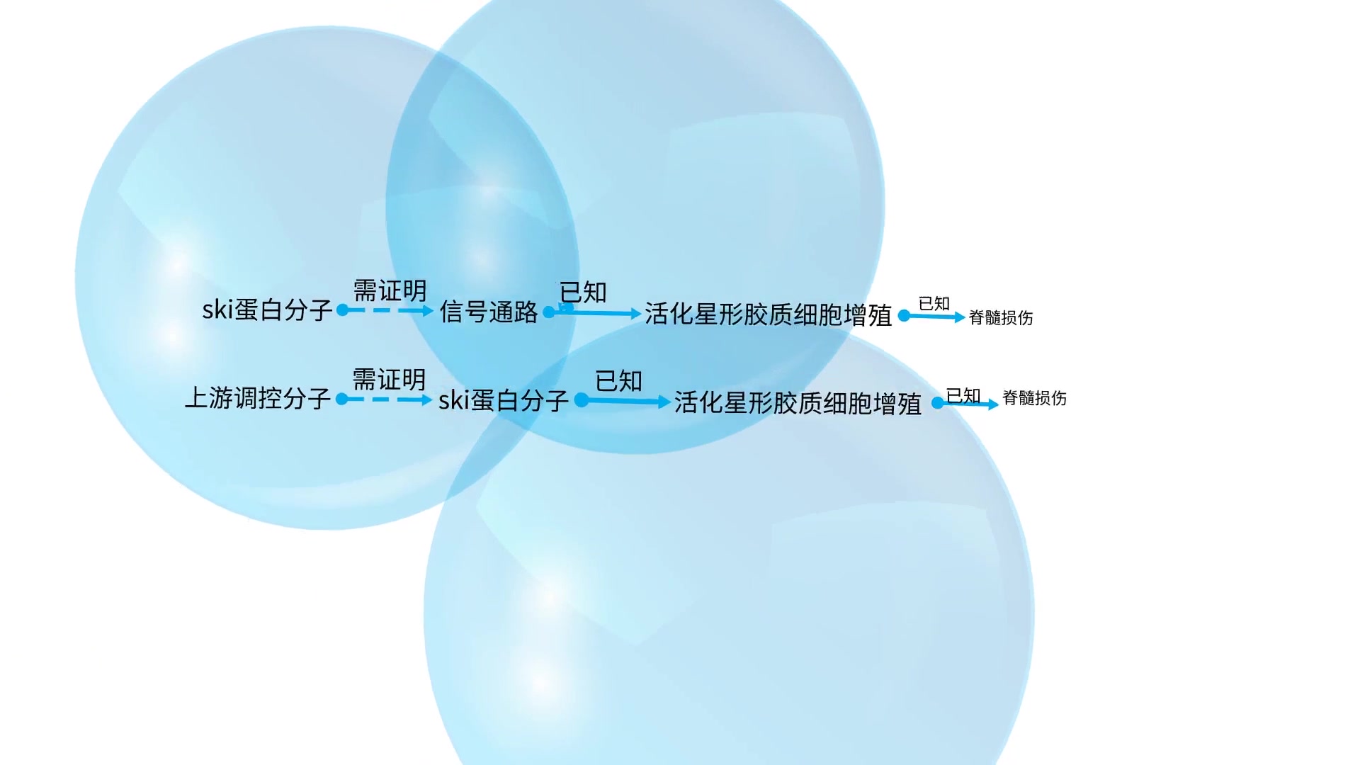 【网络教学课件制作】一分钟快速了解miRNA是什么?