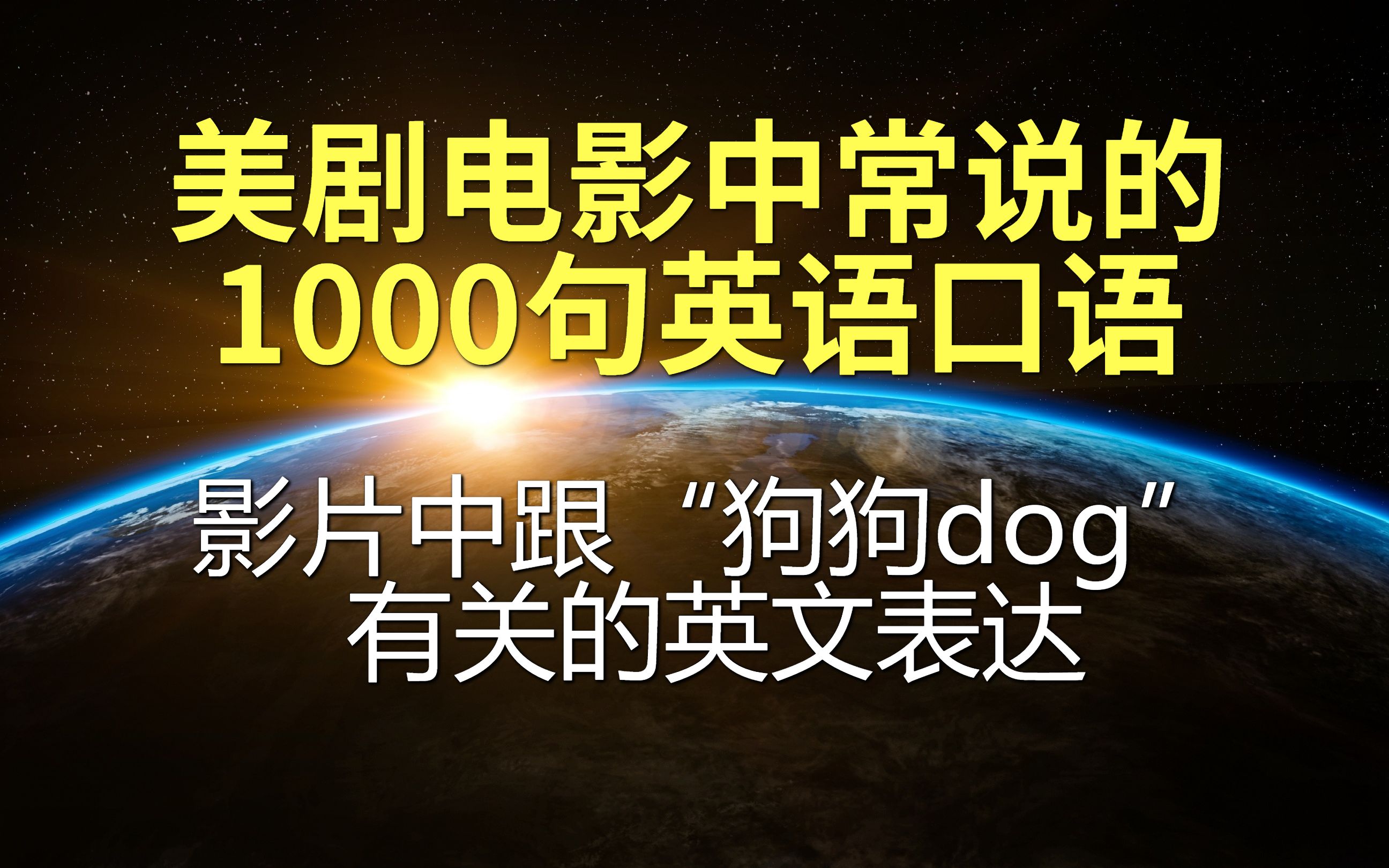 每日英语口语---英文中跟“狗狗dog”有关的英文表达都有哪些呢?