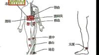 刮痧疗法及30种常见病的刮痧治疗