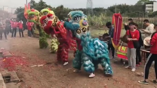 广东人过节,舞狮子很有文化精神传统!