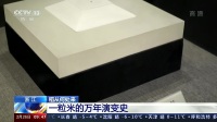 浙江·稻从何处来 一粒米的万年演变史