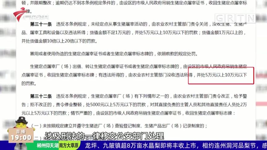 新《生猪屠宰管理条例》施行 更严监管保障食品安全