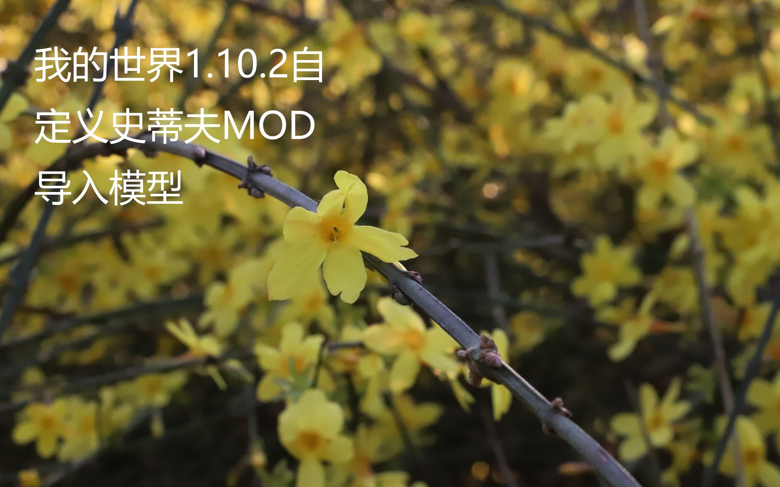 我的世界自定义史蒂夫MOD导入模型