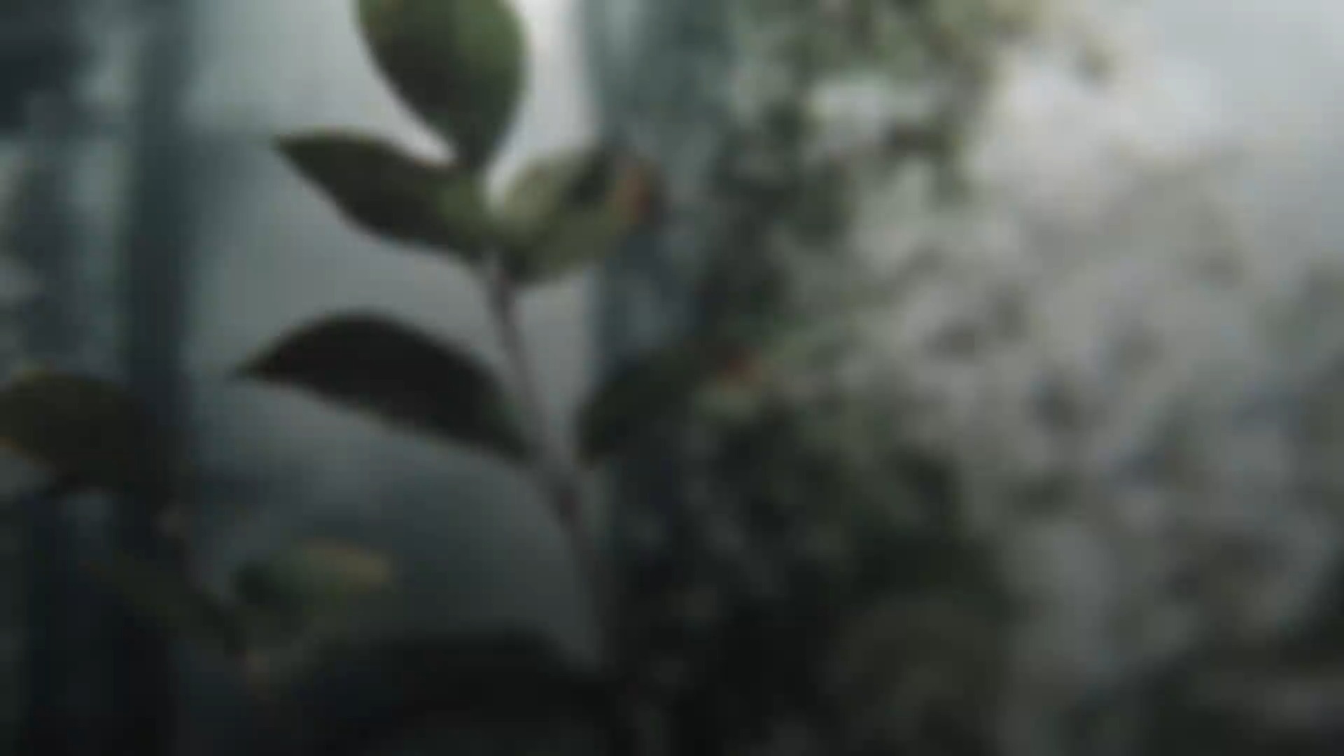 Kimi PPT助手现已搭载Nano Banana Pro,限时48小时免费无限次使用