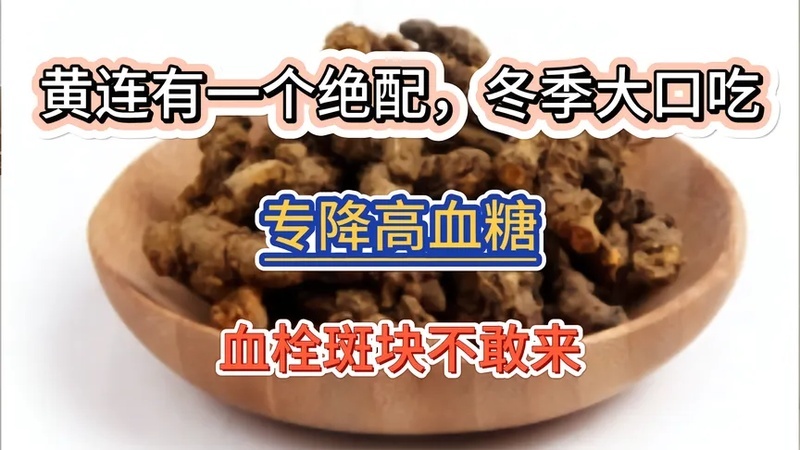 黄连有一个绝配,冬季大口吃,专降高血糖,血栓斑块不敢来