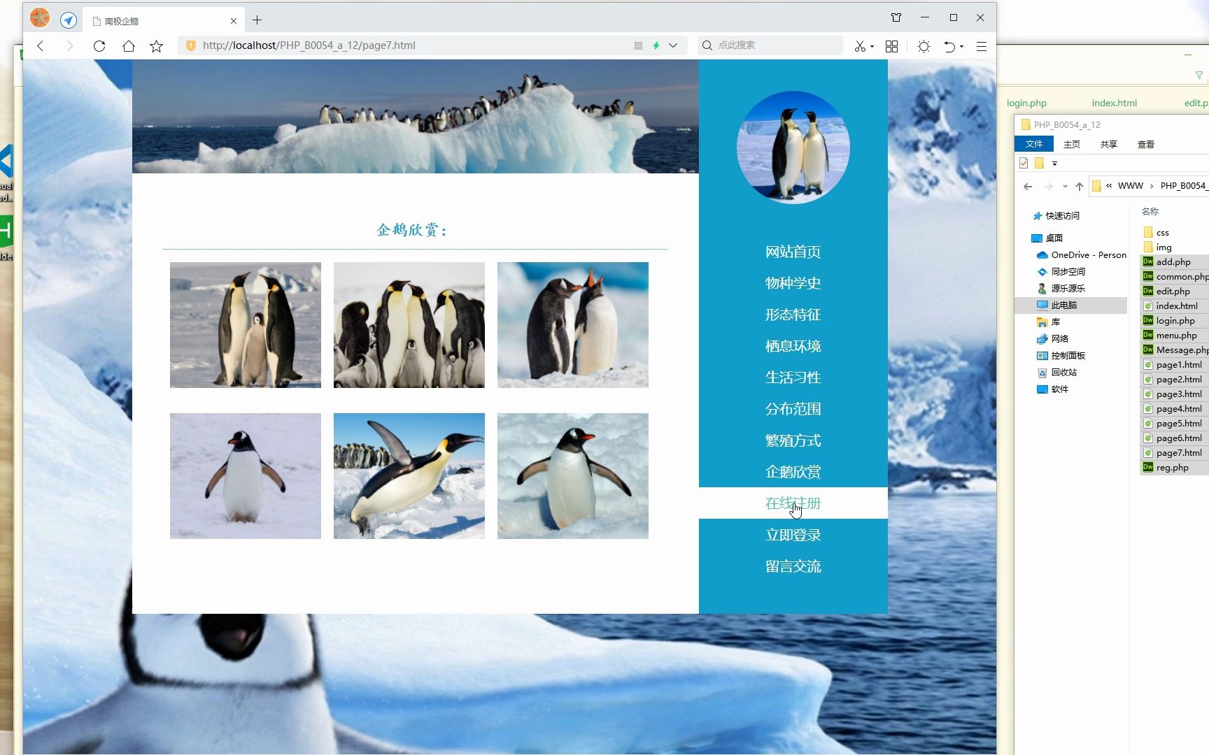 南极企鹅 12页面 动物科普主题 php+mysql数据库 PHP系统开发 PHP...