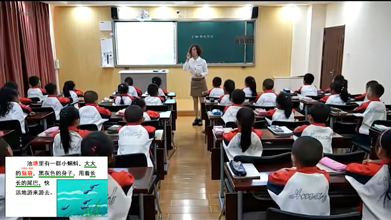 二上:《小蝌蚪找妈妈》(含课件教案) 名师优质公开课 教学实录 小学...