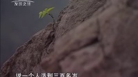 发现中国竹林七贤(四)