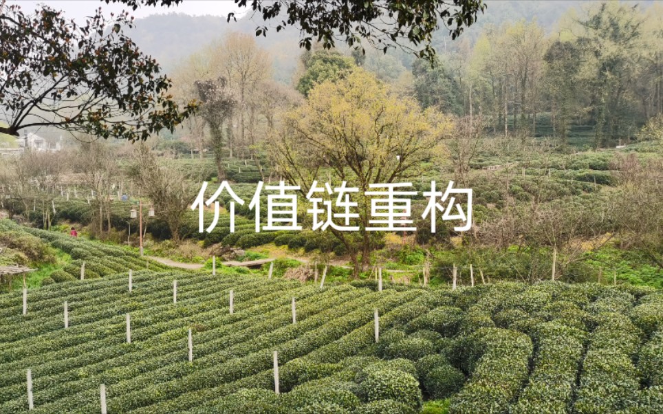 如何讲企业价值链植入产业价值链之一