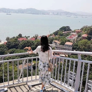 考研管综逻辑梅子老师 