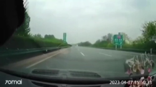 陕西武功段高速公路逆行事故:司机精准避让,警示交通安全事件报告