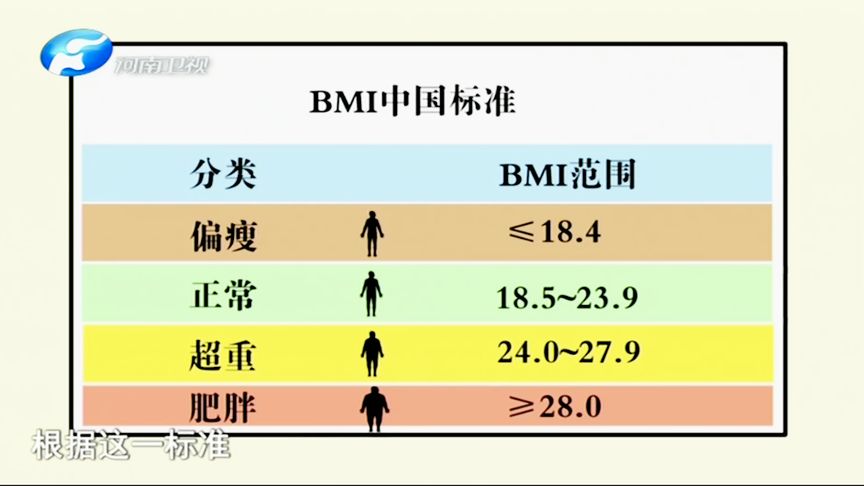 一组体重指数,教你在家轻松自测体重,保持健康身材