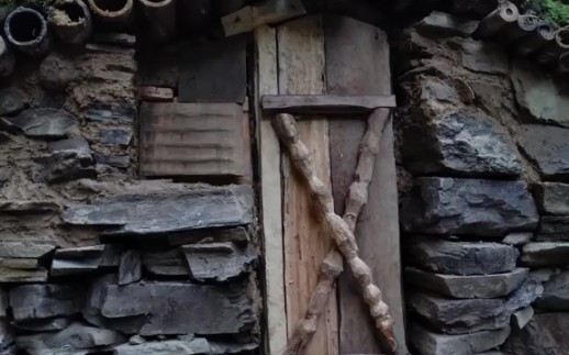 在森林里建一个避难所/完成一个石头和木头的房子/做一个木杯子,生存