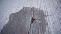 楼面开裂、渗水非常严重