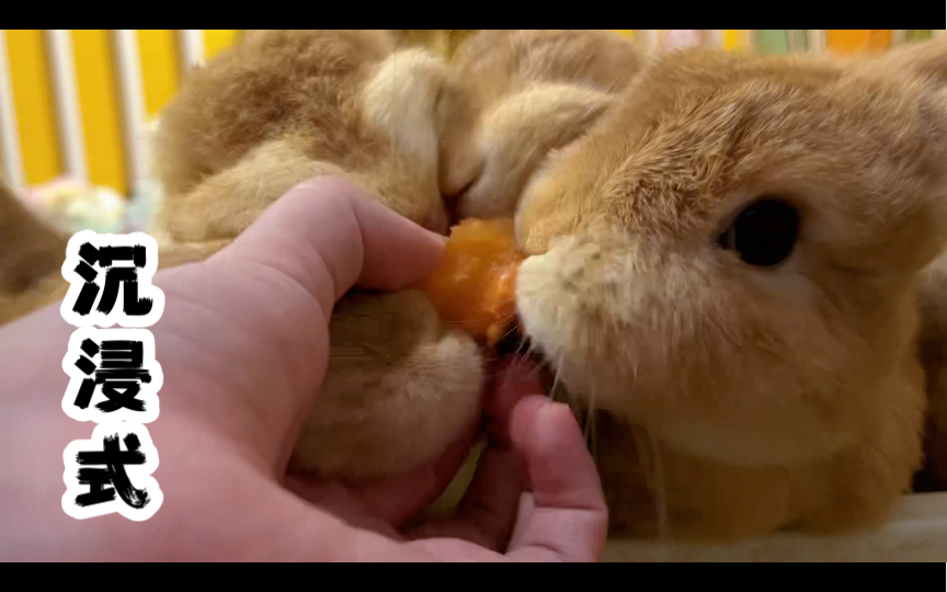 吃到人肉就停嘴!