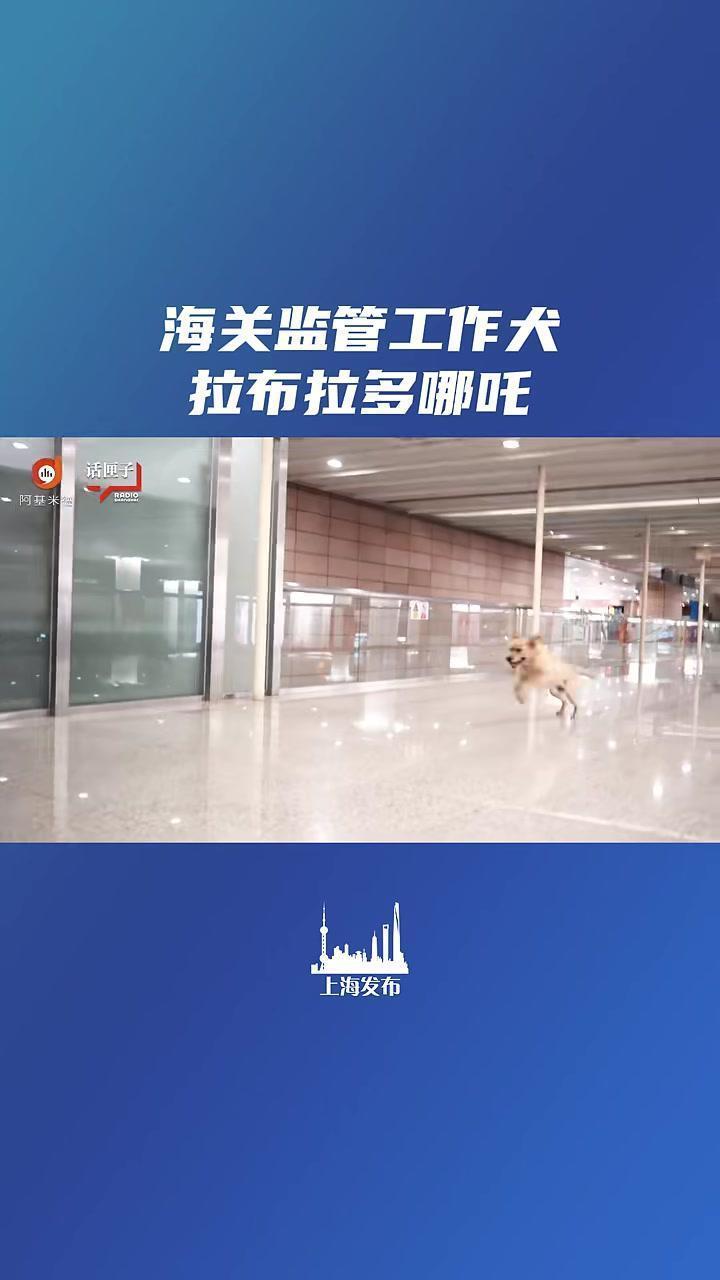 ...共计开箱216个,其中有效开箱189个,有效开箱率87.5%。(资料:话匣子)