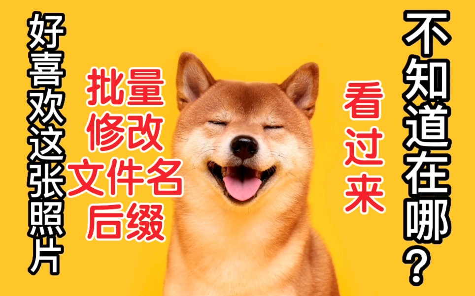 360画报壁纸太好看却不会保存下来?批量修改文件名后缀,看过来!