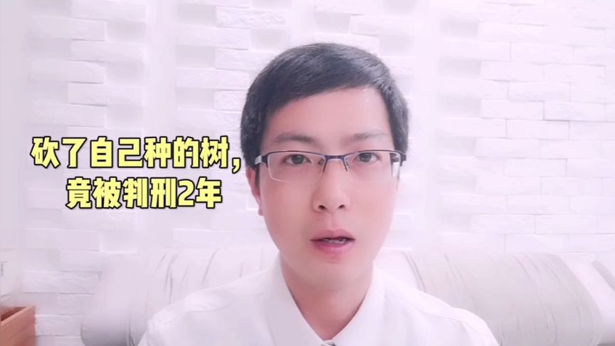 砍了自己种的树,竟然被判刑2年,听听律师怎么说