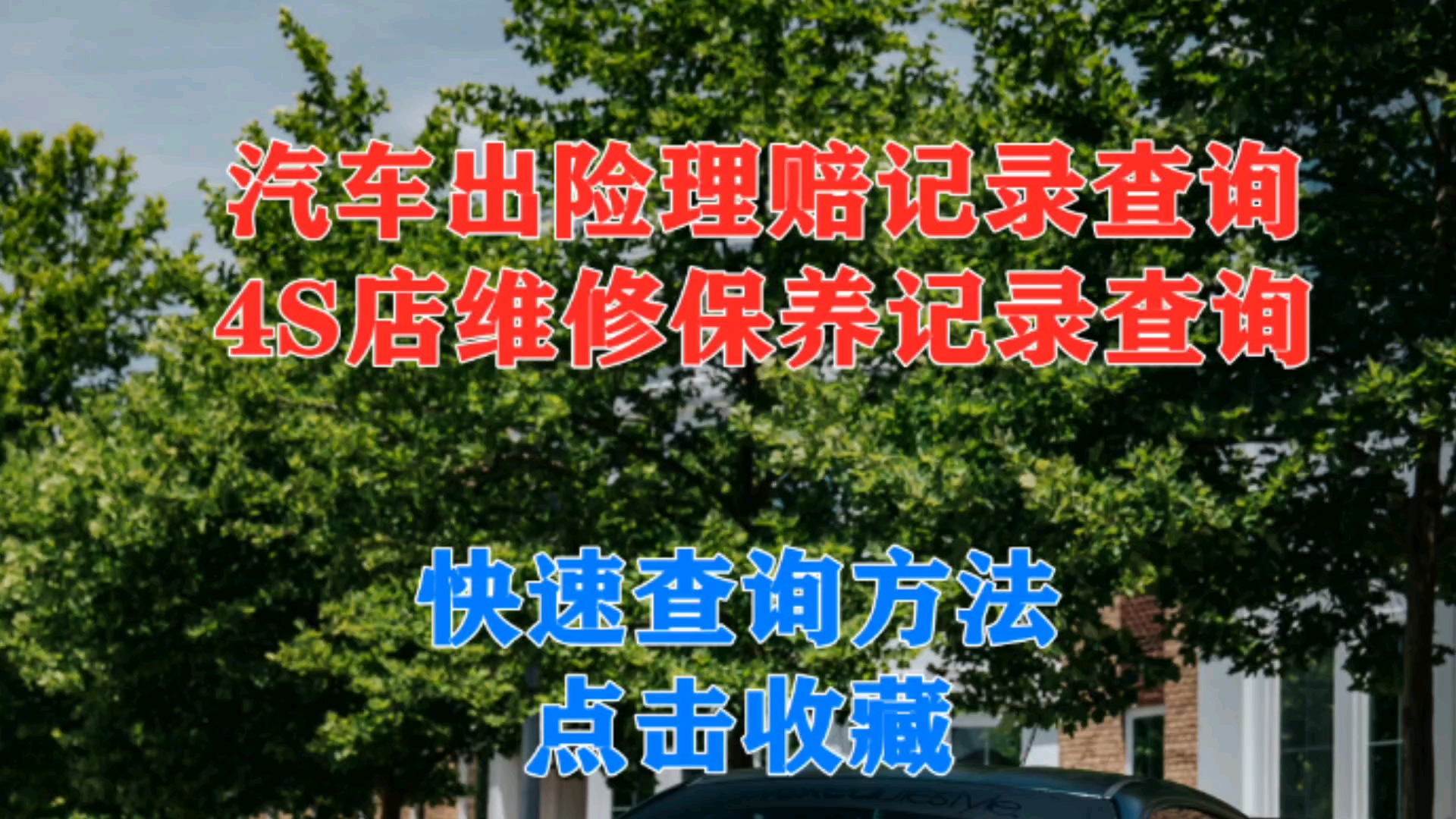 新手怎么查询车辆出险理赔记录? #出险记录 #二手车查询车辆出险记录