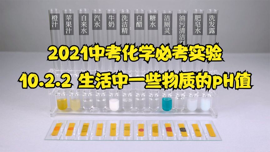 2021中考化学必考实验-10.2.2 生活中一些物质的pH值