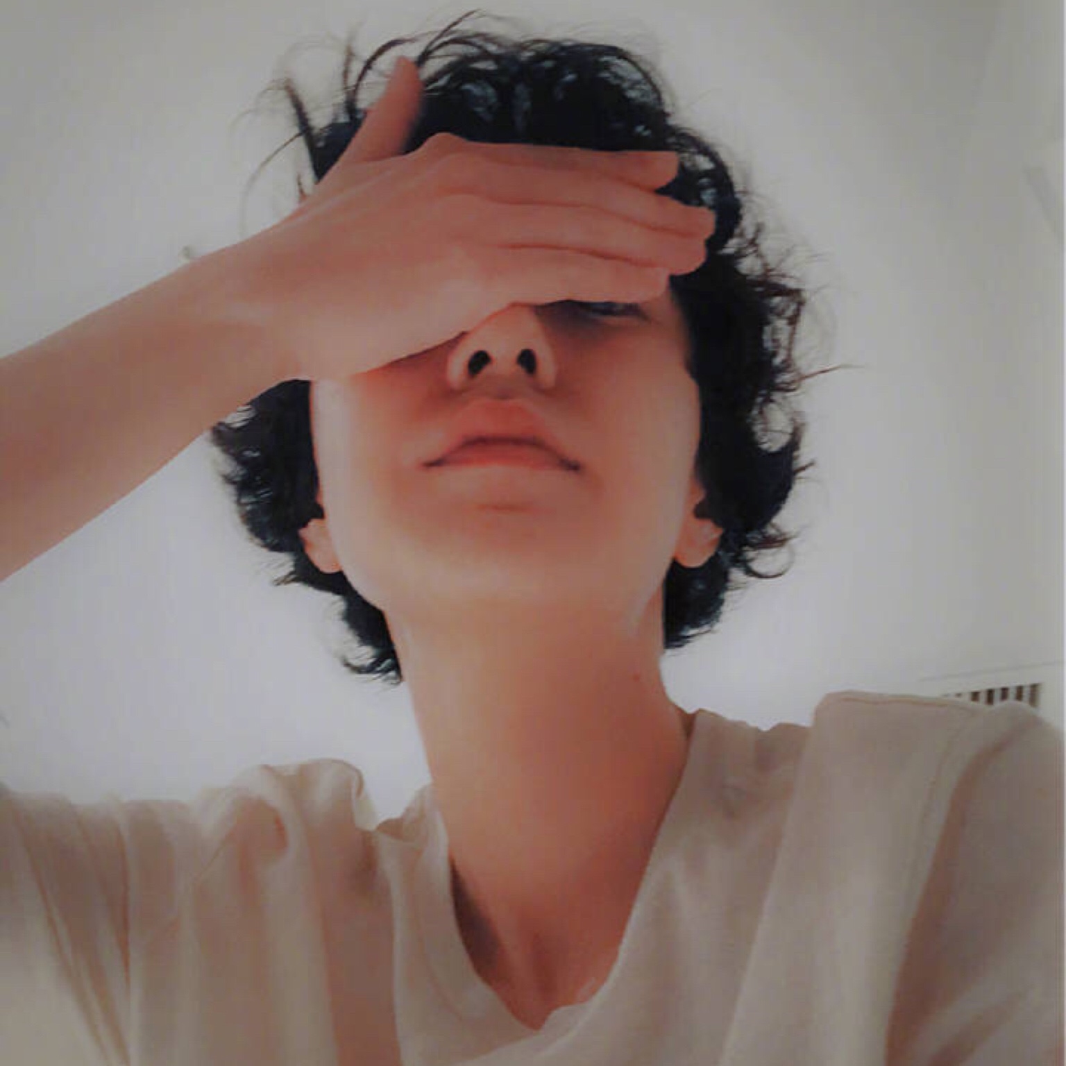 但若归去枫已晚 