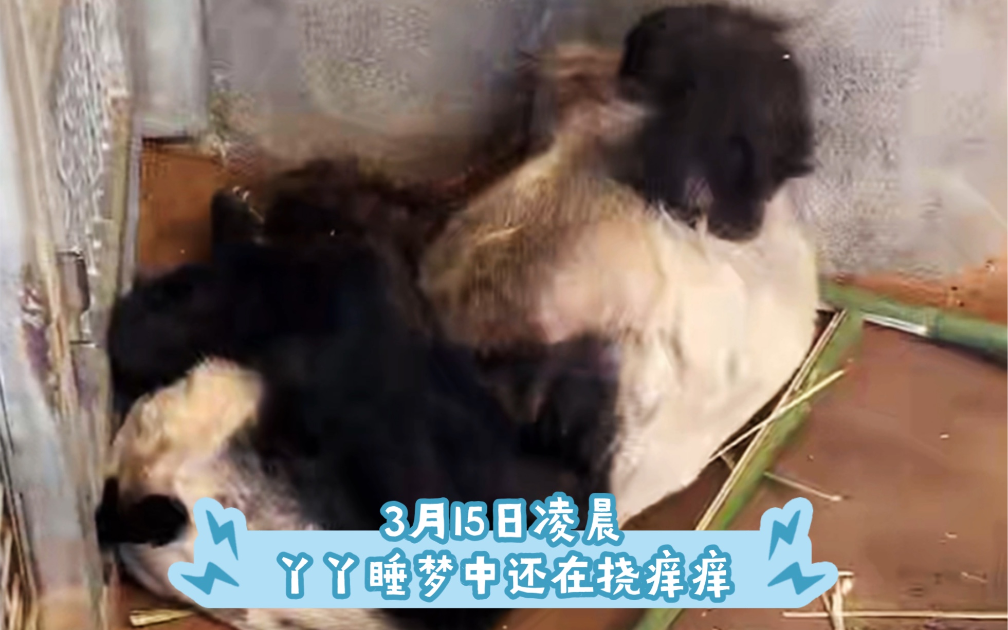 3月15日凌晨,丫丫在睡梦中还在挠痒痒,真的很心酸!