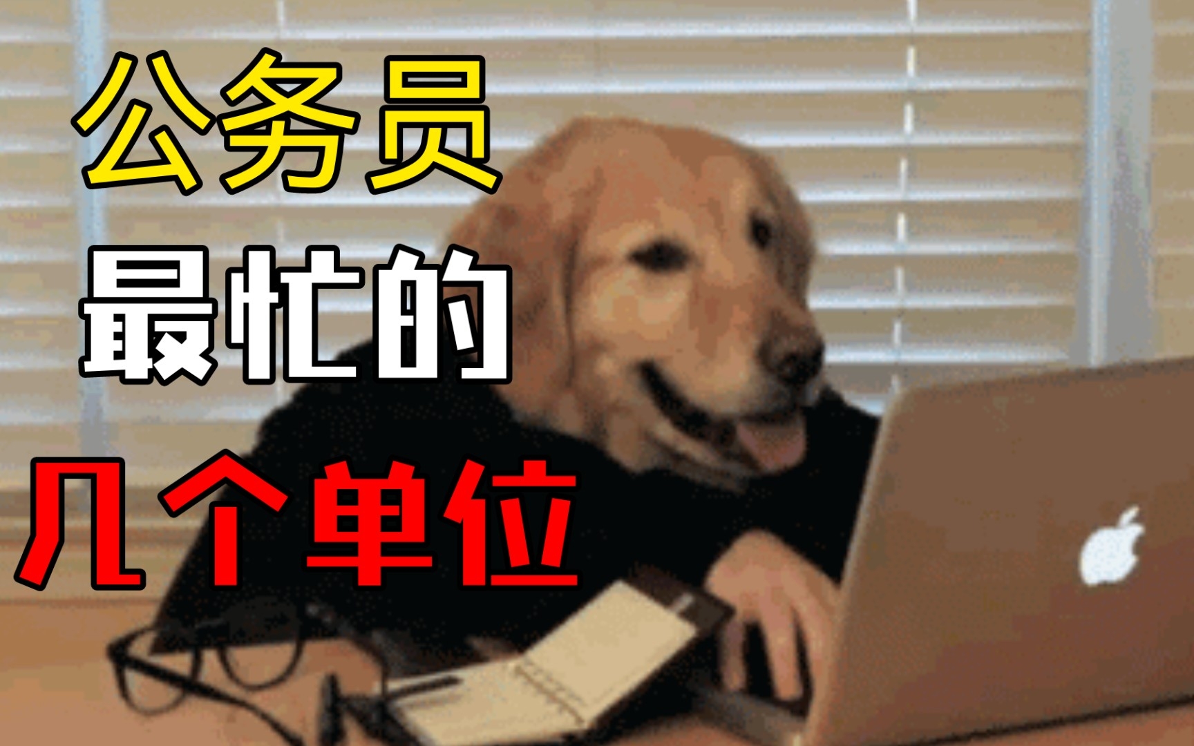公务员|体制内最忙的单位