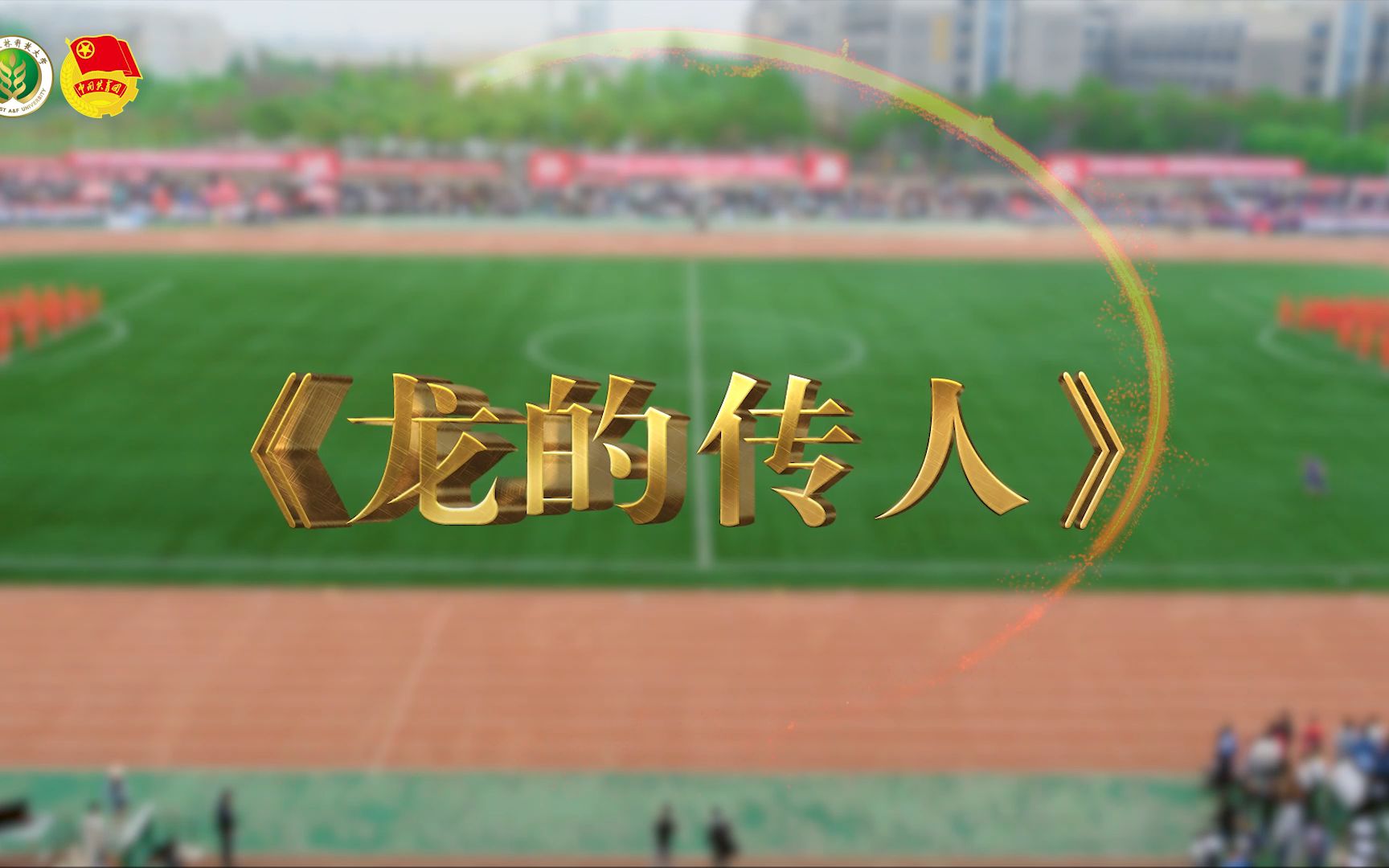 【航拍版】西农校运会武术表演《龙的传人》