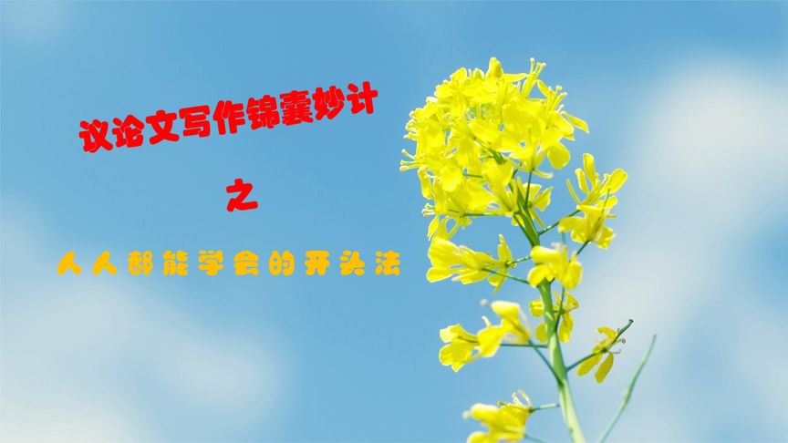 高考作文锦囊妙计之开头