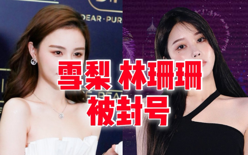 网红带货主播雪梨、林珊珊微博被封禁,此前因偷逃税被罚